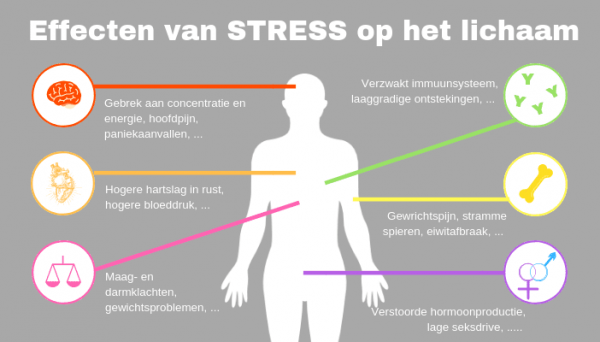 Stress - Stress en Burn Out Coach